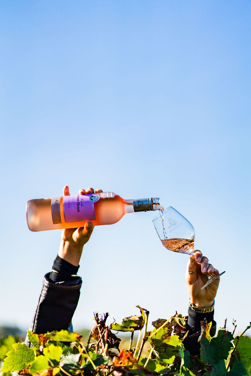 MONSIEUR HENRI ROSE - 2024 - 6 bouteilles x 9€ – Famille Ducourt